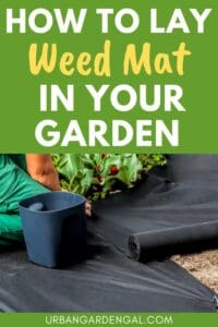 How to Lay Weed Matting in Your Garden - Urban Garden Gal