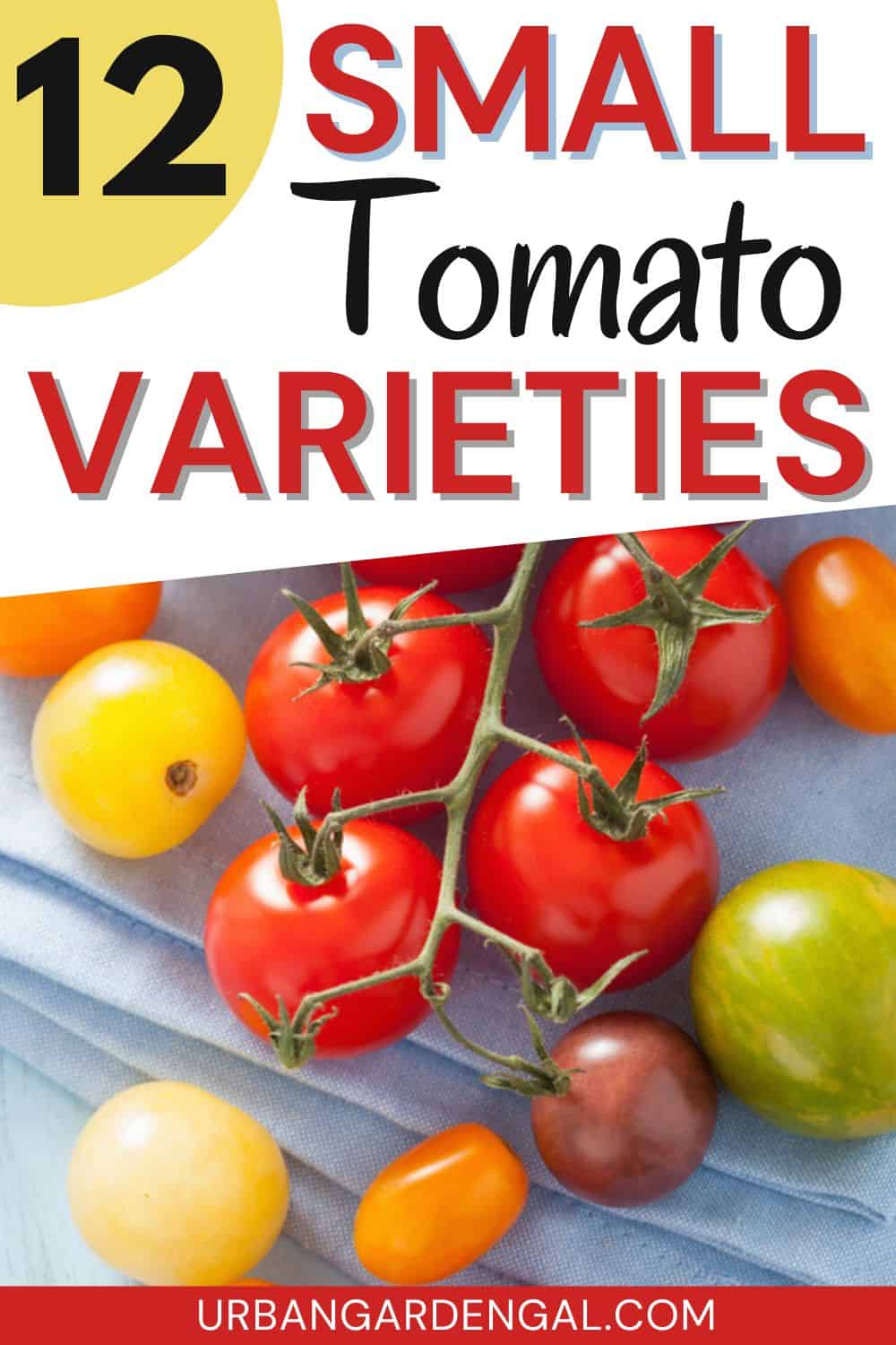 12 Small Tomato Varieties - Urban Garden Gal