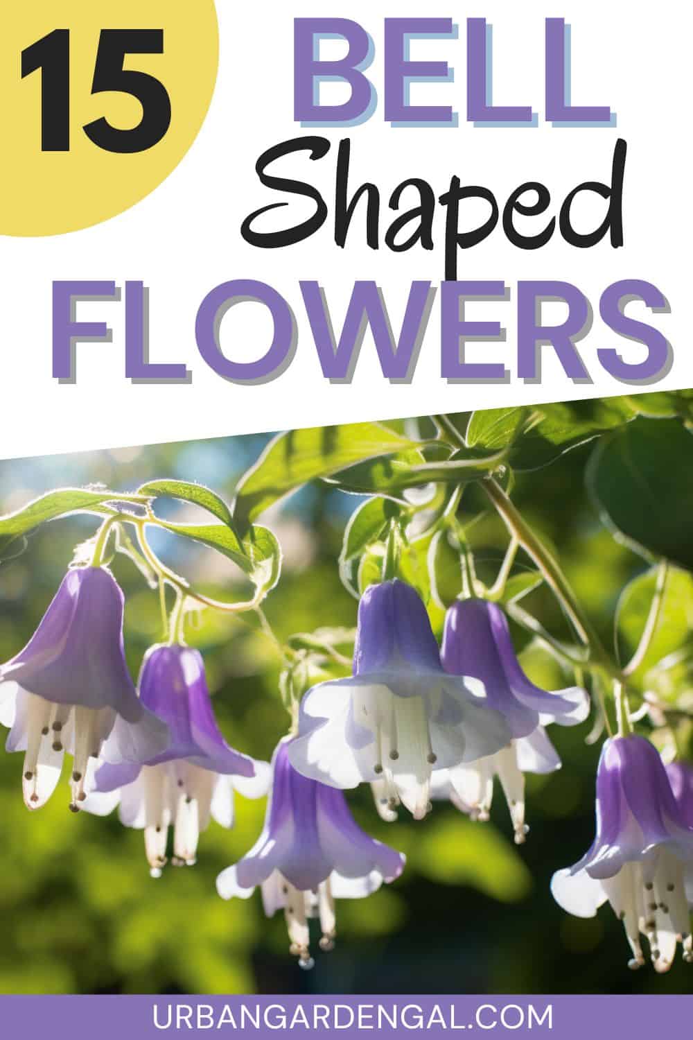 15 Beautiful Bell-Shaped Flowers - Urban Garden Gal